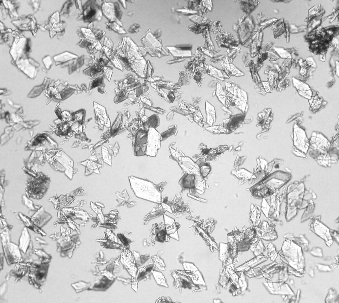 SUGAR PAN – J.M. Canty